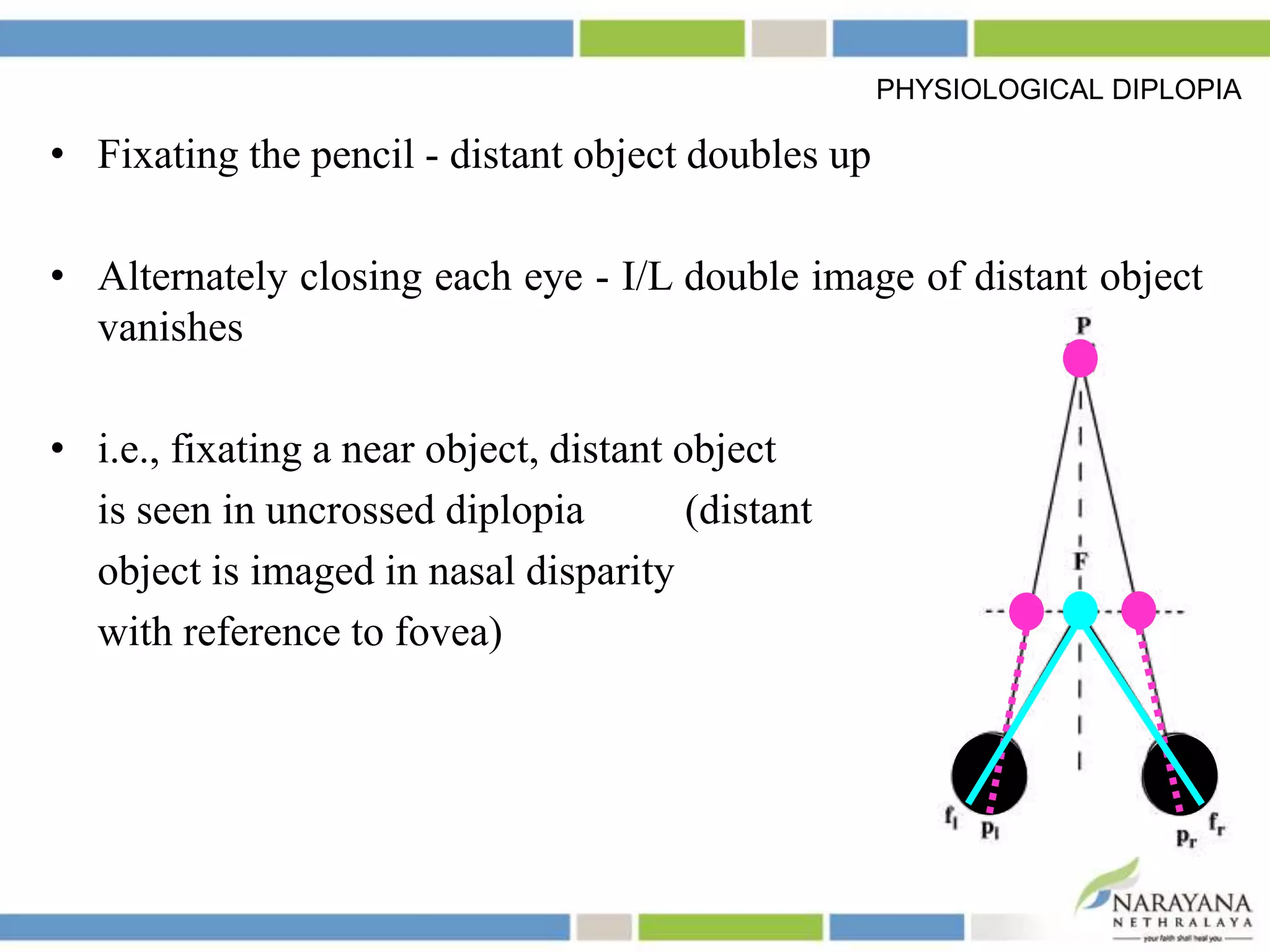 Binocular vision | PPTX