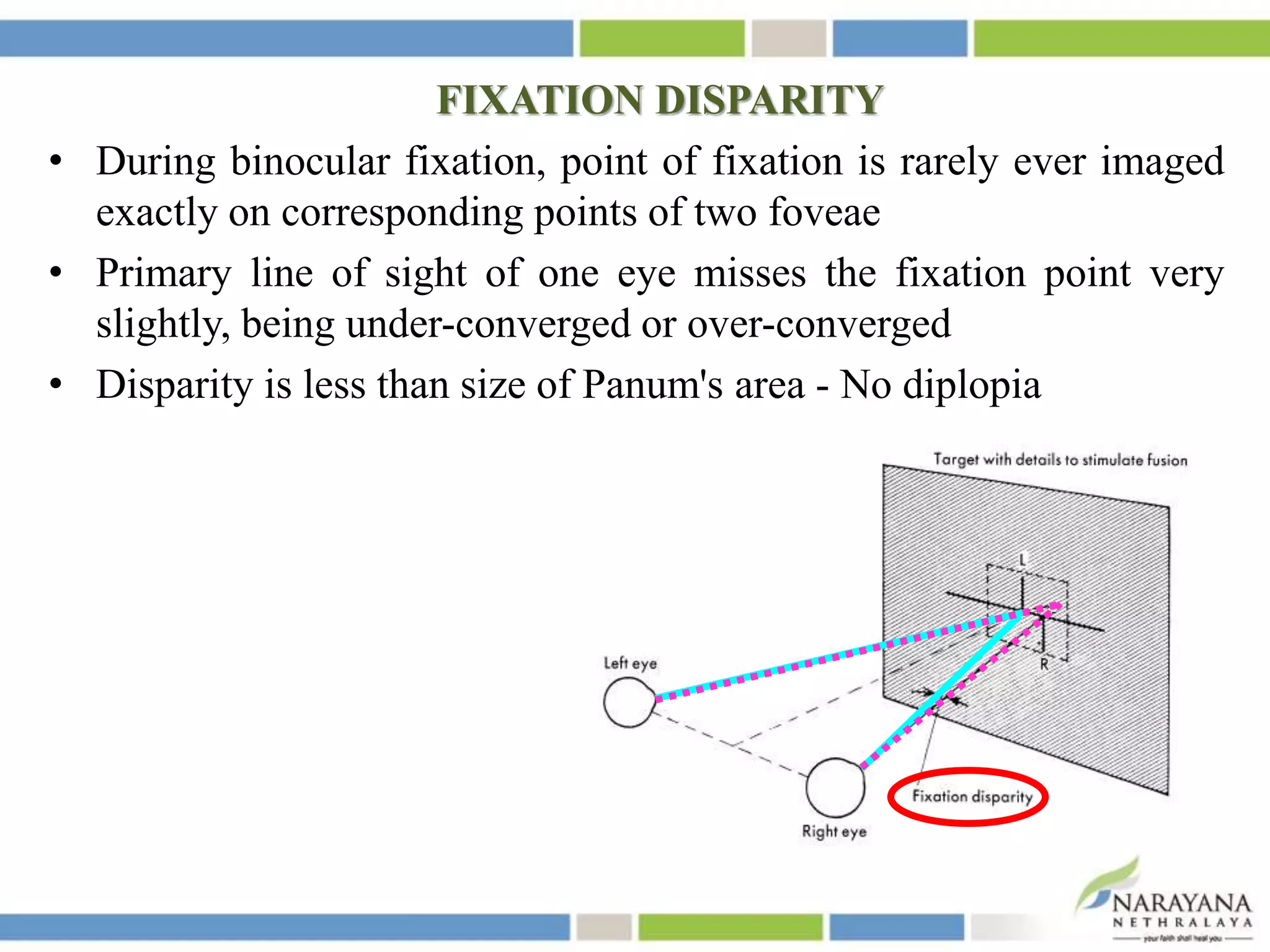 Binocular vision | PPTX