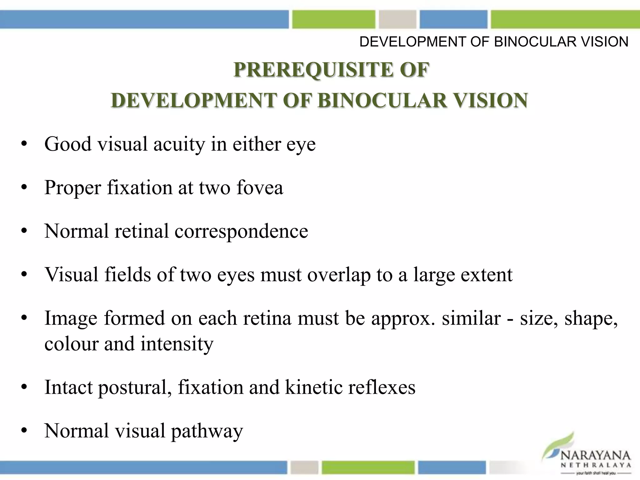 Binocular vision | PPTX