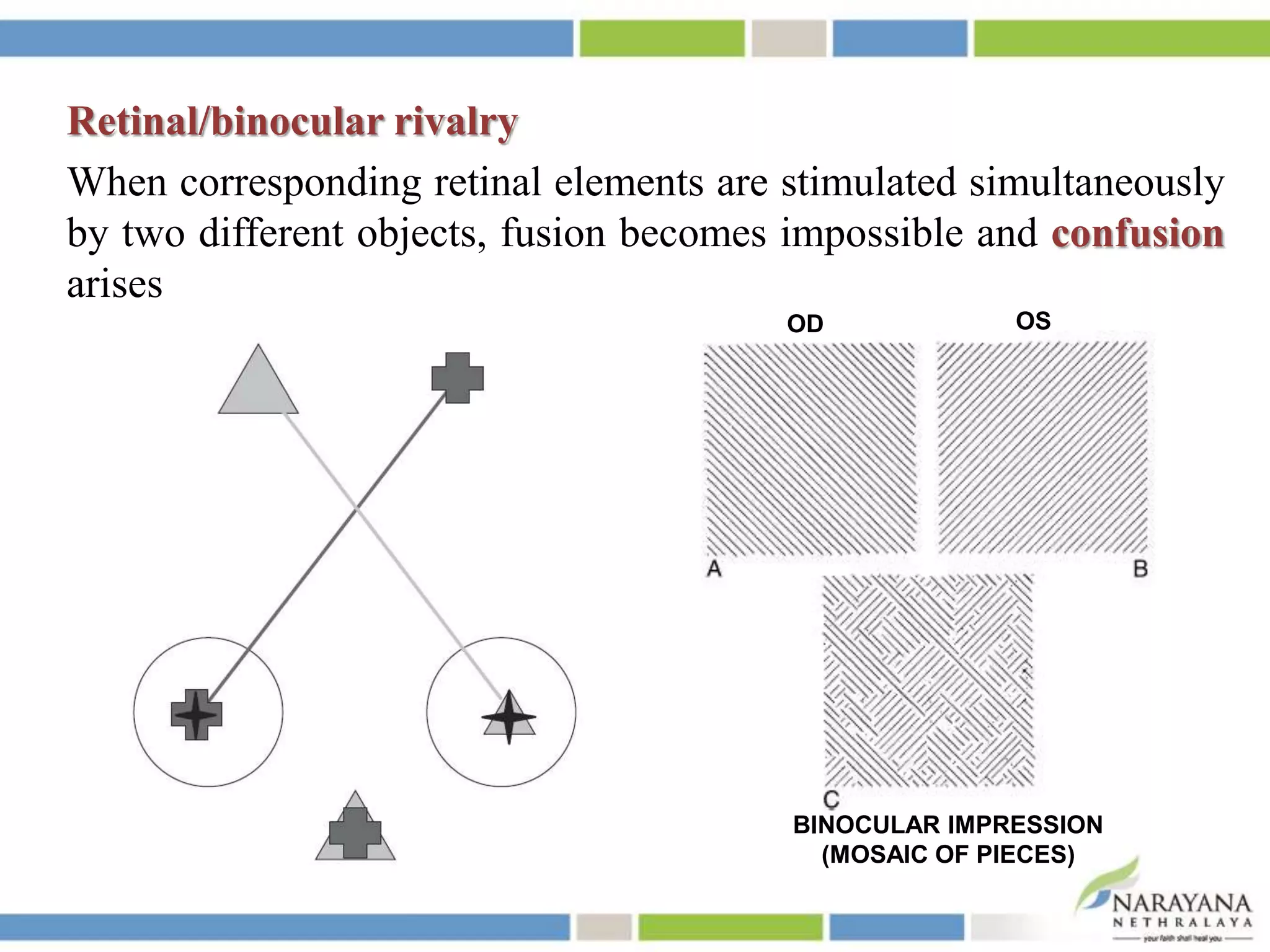 Binocular vision | PPTX