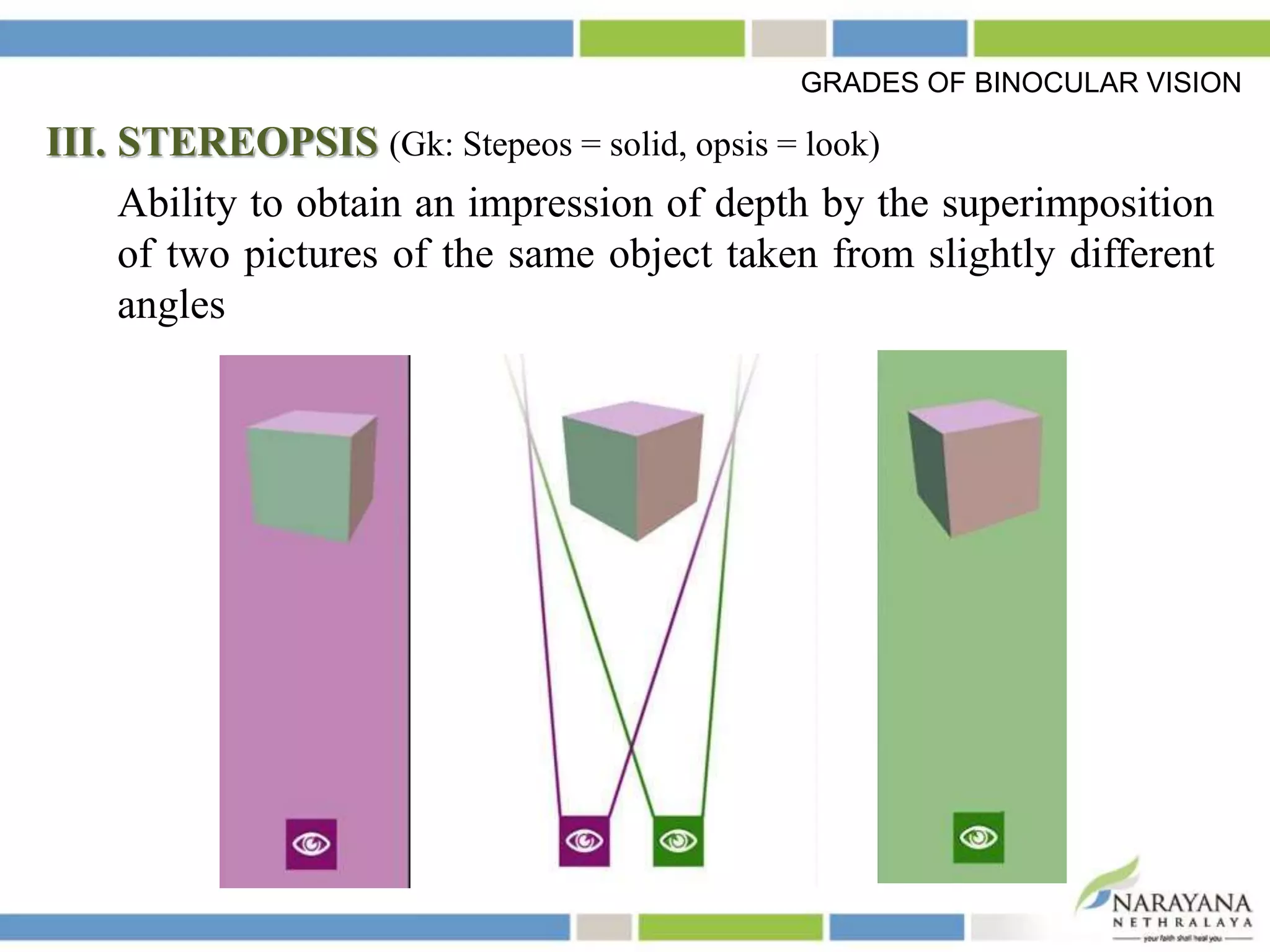 Binocular vision | PPTX