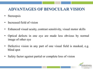 Binocular vision | PPTX