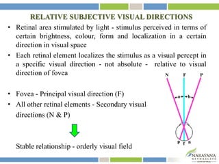 Binocular vision | PPTX