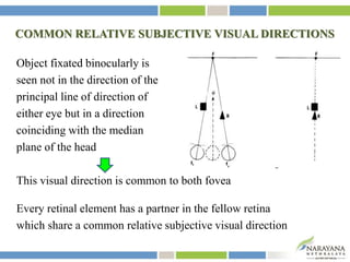 Binocular vision | PPTX