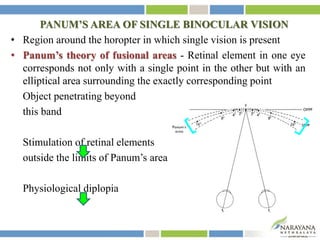 Binocular vision | PPTX