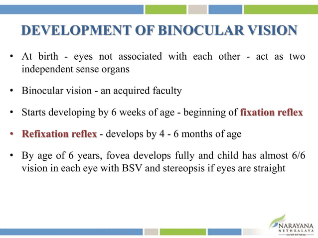 Binocular vision | PPTX | Eye and Vision Conditions | Diseases and ...