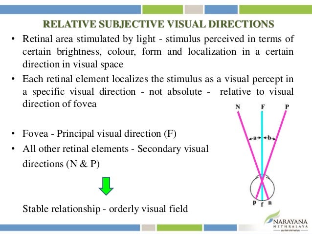 Binocular vision