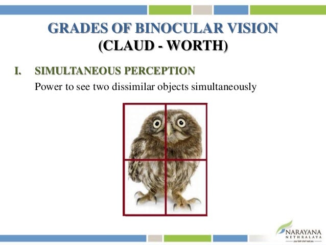Binocular vision
