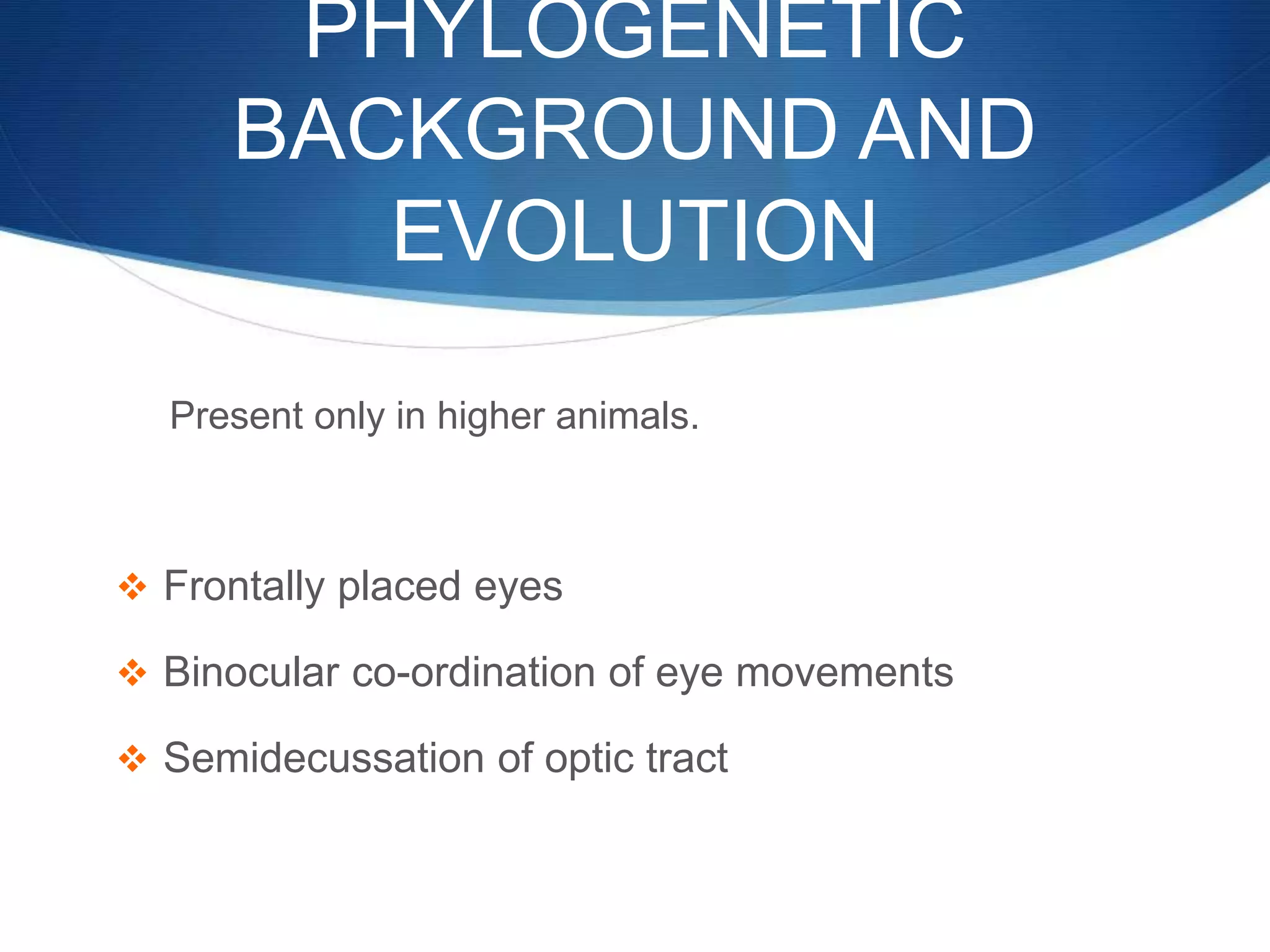 binocular single vision | PPTX