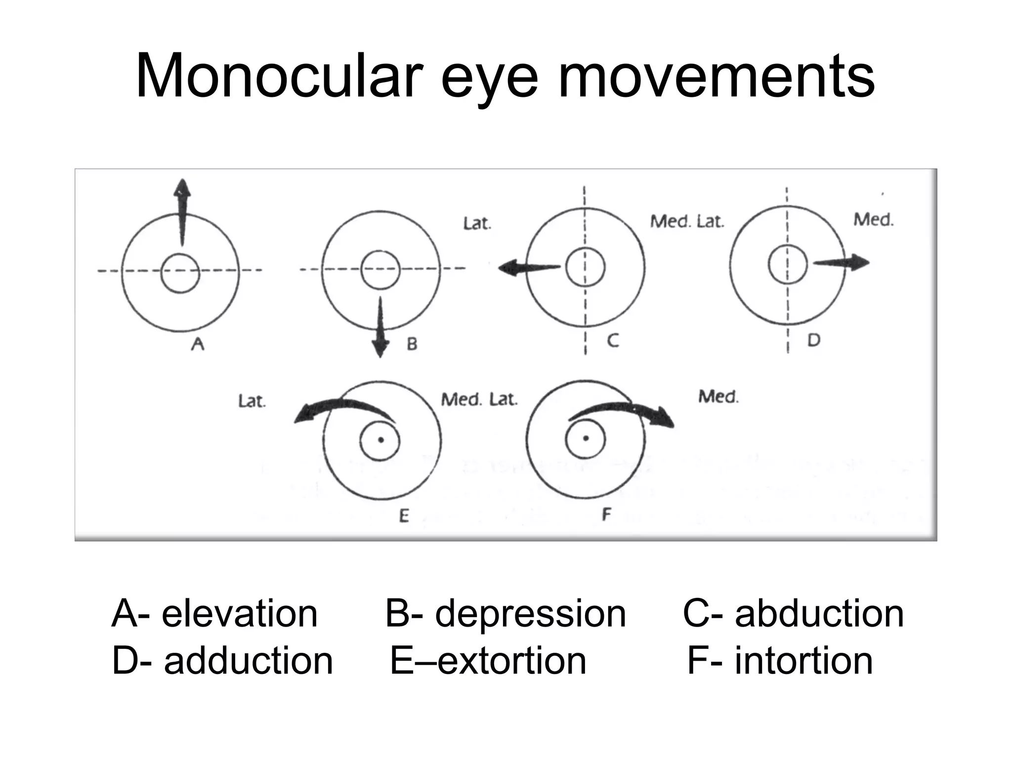 Gede Pardianto - Strabismus, binocular vision, 3D vision and visual ...