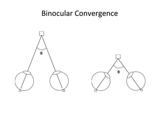 Binocular Convergence