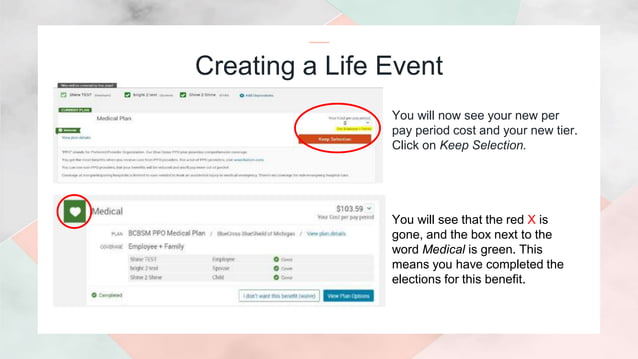 bswift guide.pptx | Life Insurance | Insurance