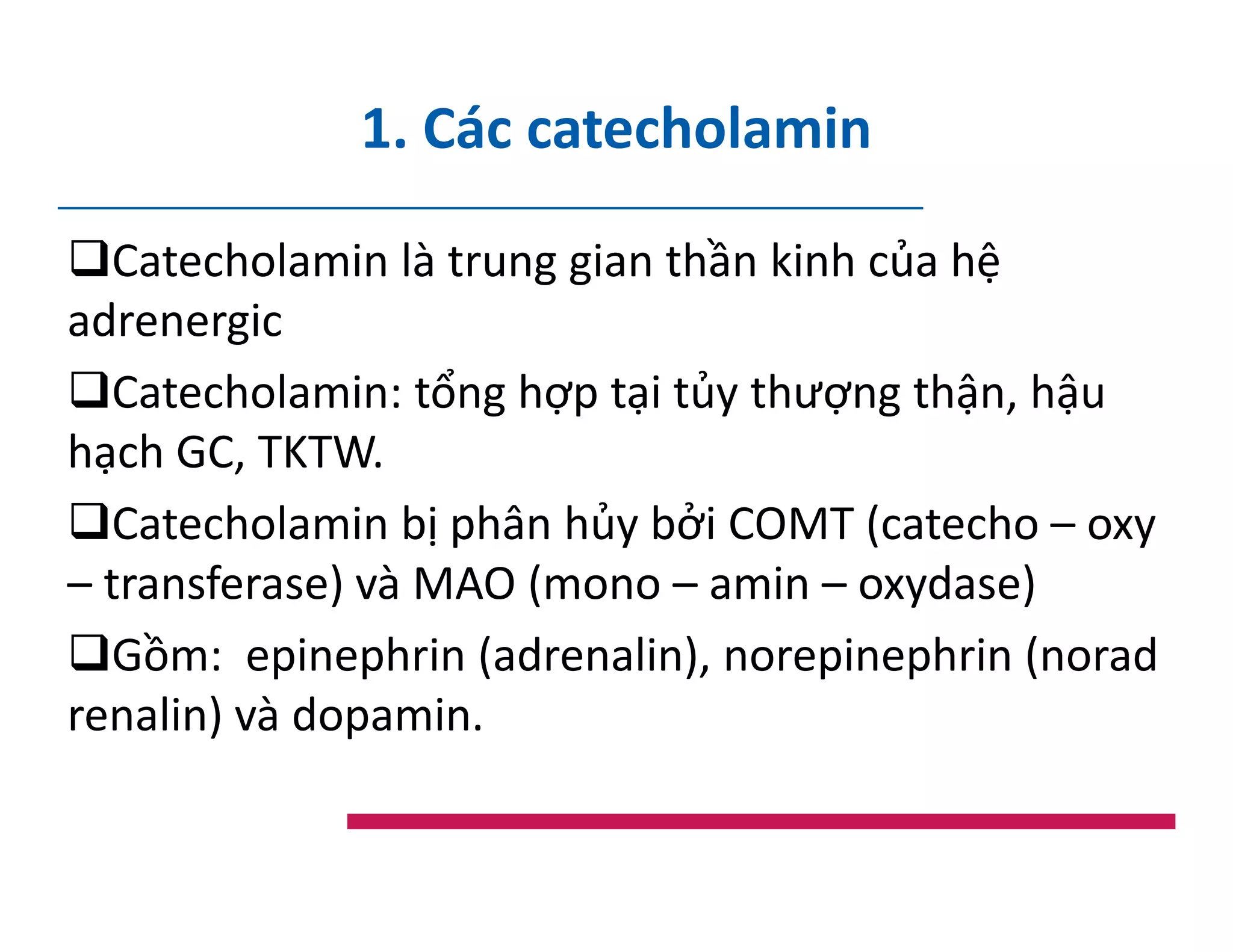 Bs y3 thuốc tác dụng lên hệ tktv | PDF