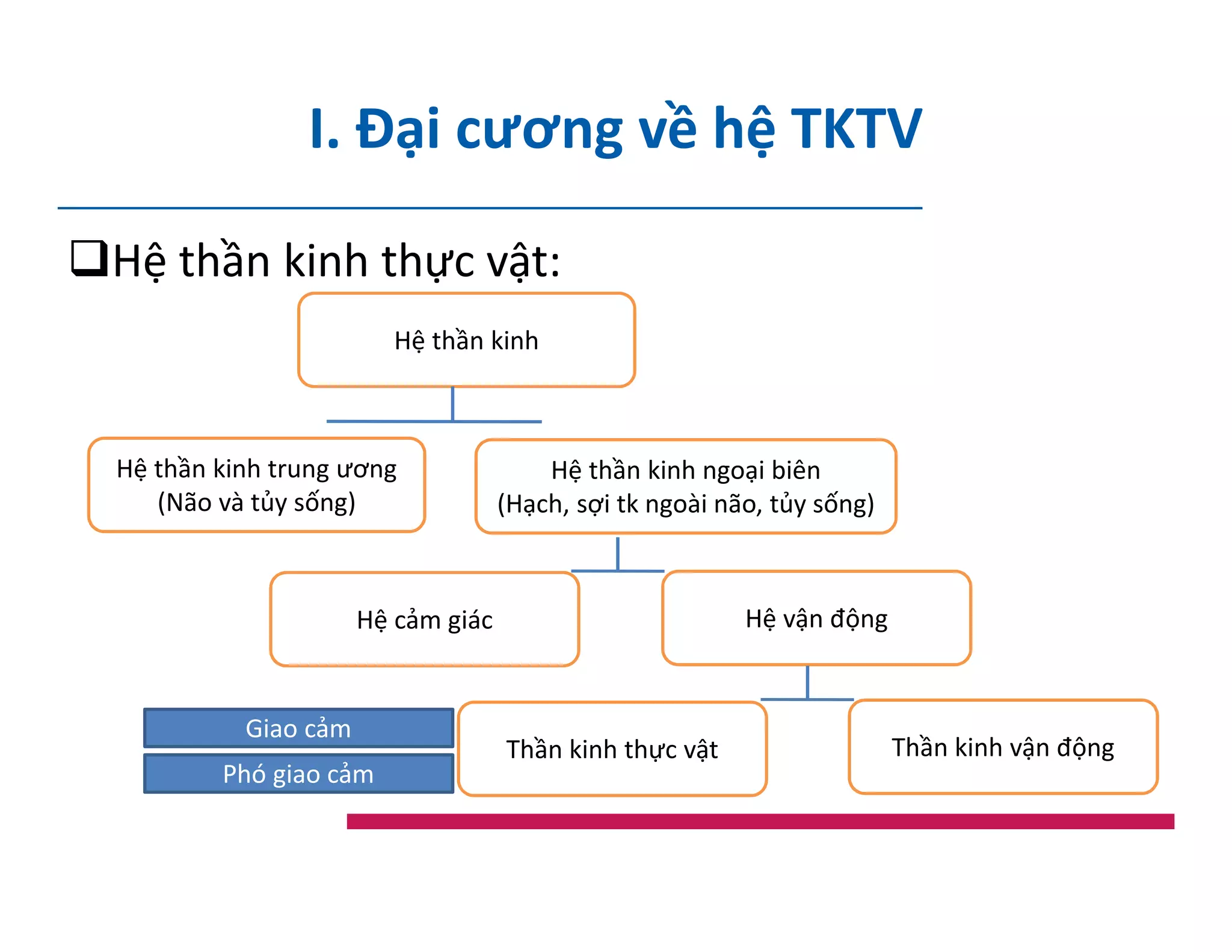 Bs y3 thuốc tác dụng lên hệ tktv | PDF