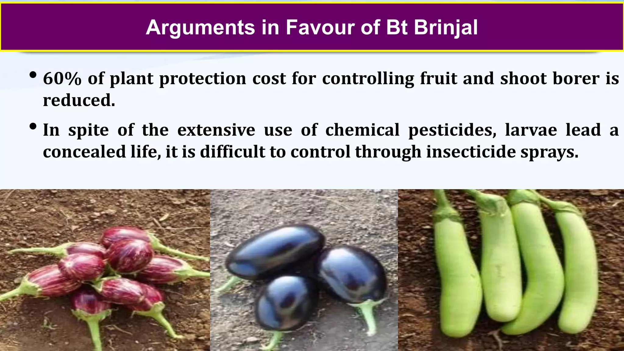 Bt. crops ppt | PPT