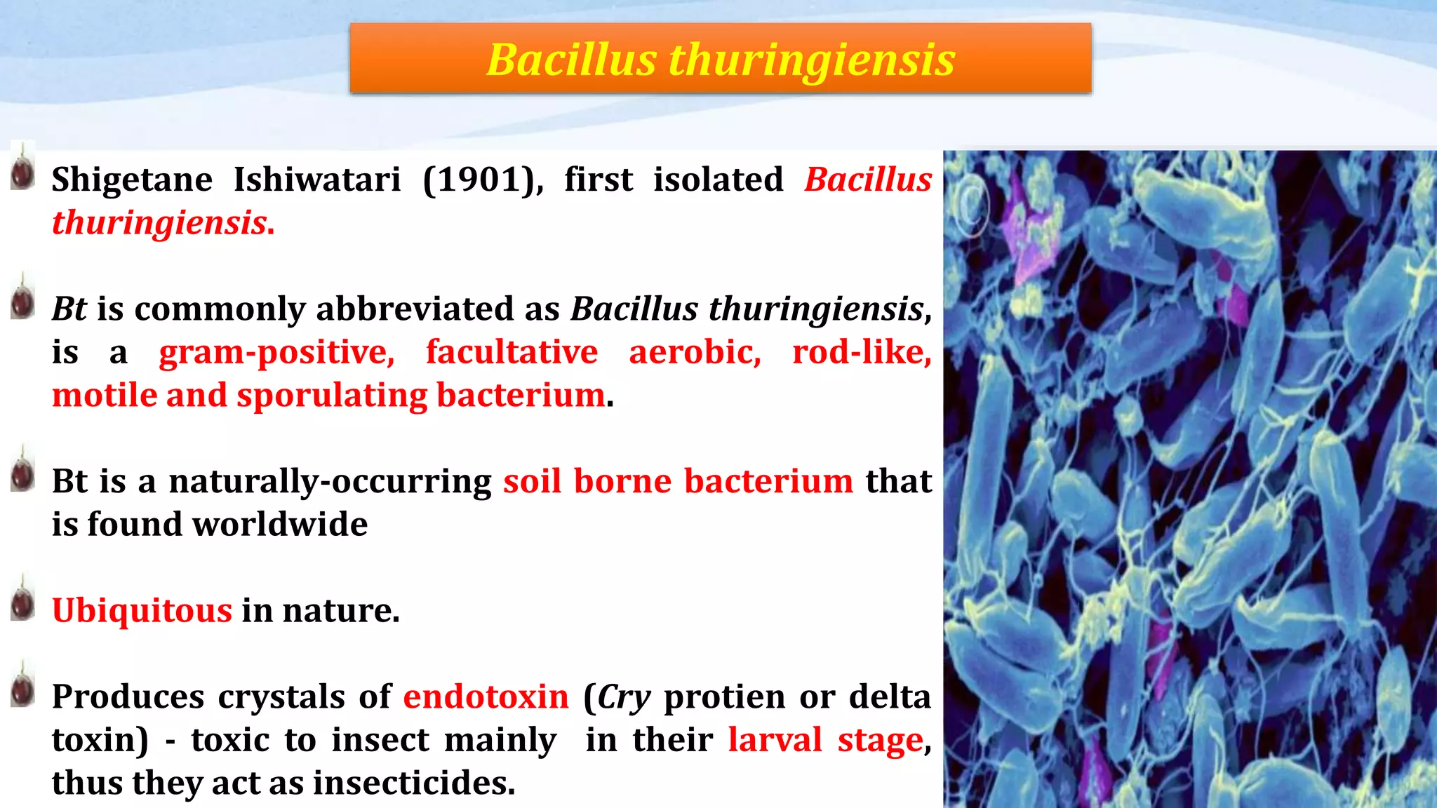 Bt. crops ppt | PPTX