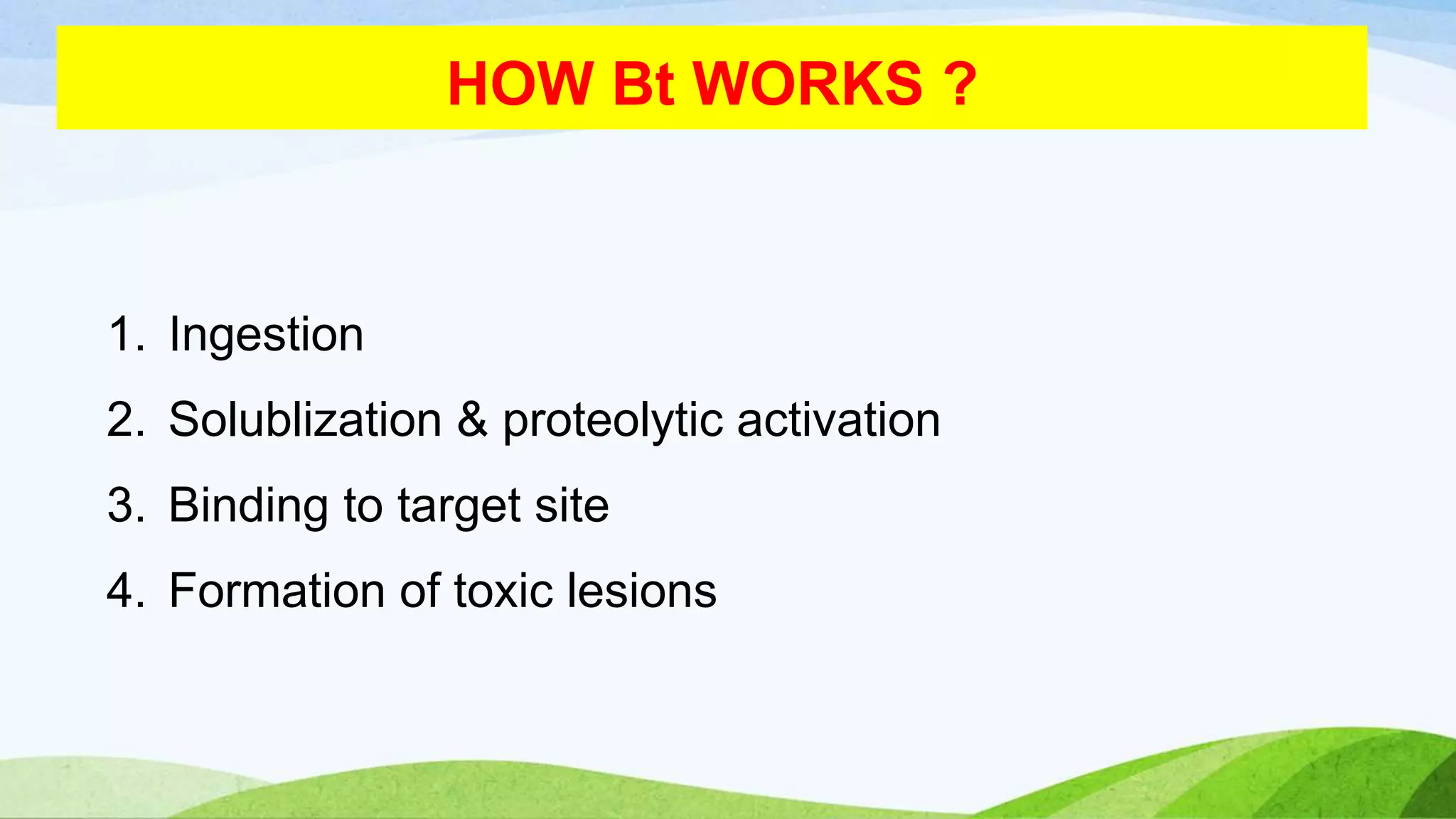 Bt. crops ppt | PPTX
