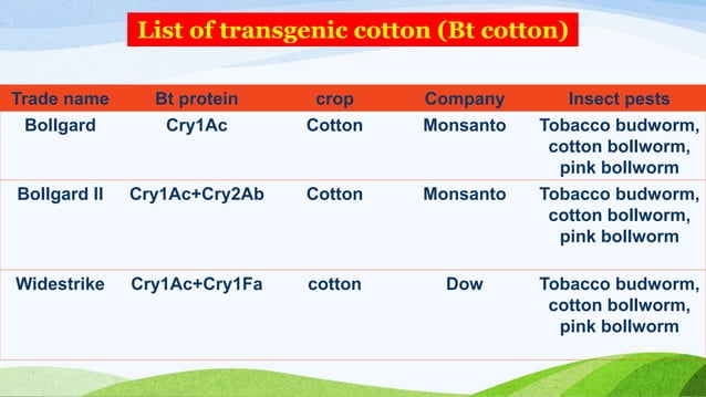 Bt. crops ppt | PPTX