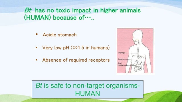 Bt. crops ppt | PPTX