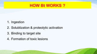 Bt. crops ppt | PPTX