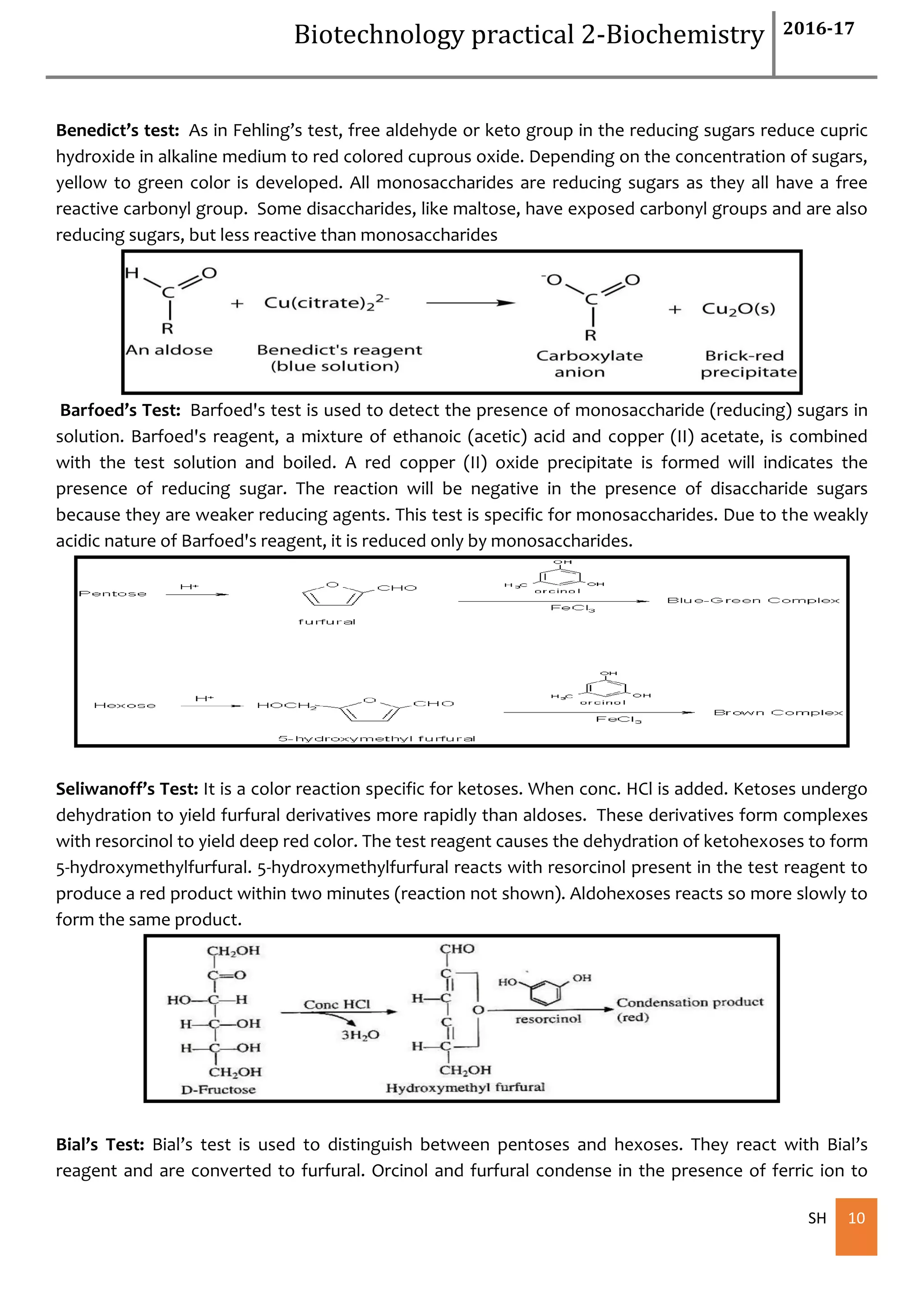 BIOCHEMISTRY LAB MANUAL | PDF