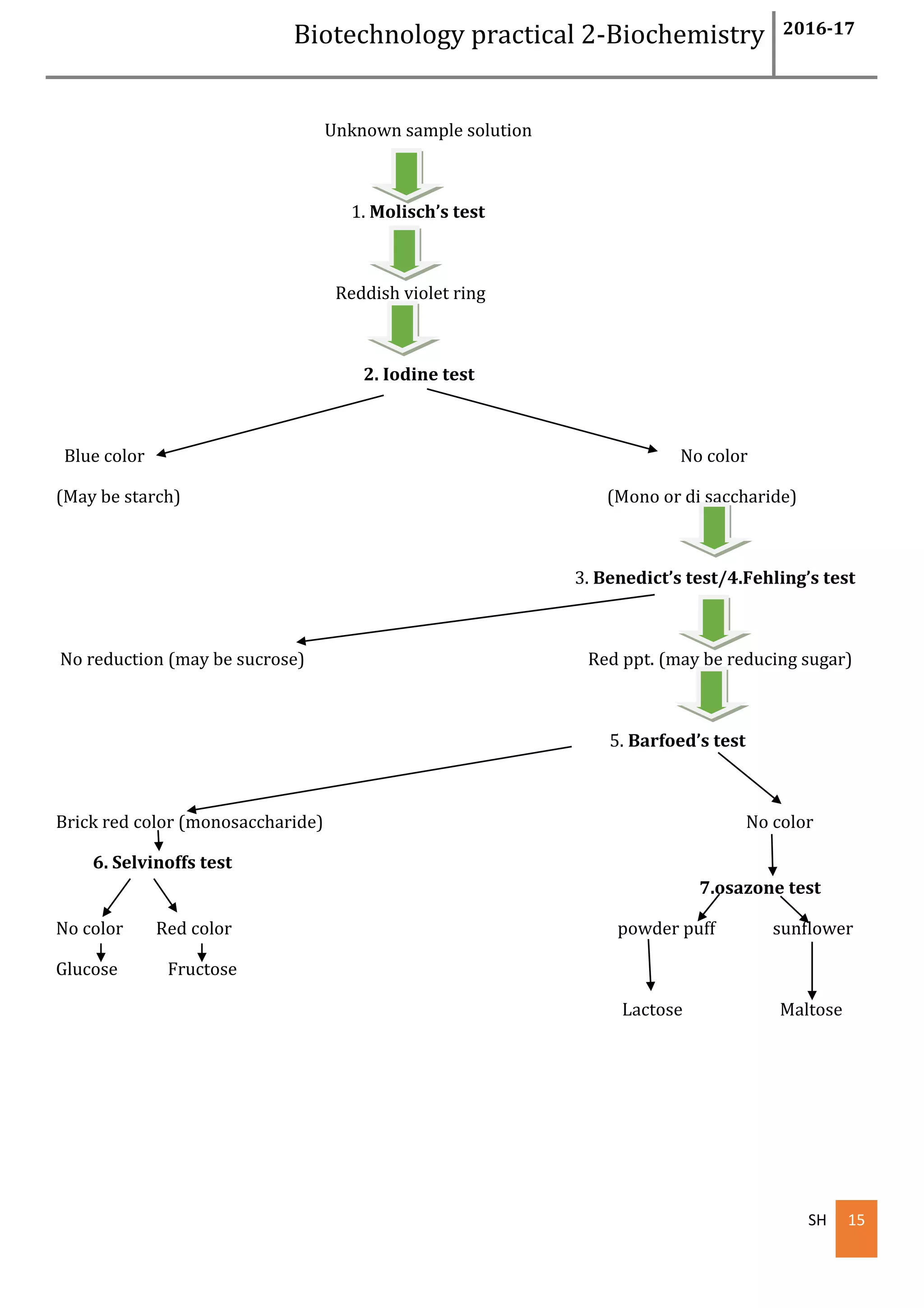 BIOCHEMISTRY LAB MANUAL | PDF
