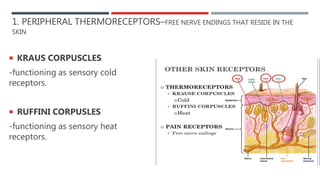 VS- TEMPERATURE (NORMAL,FORMULA, TYPES OF THERMOMETER, THERMORECEPTORS ...