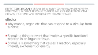 VS- TEMPERATURE (NORMAL,FORMULA, TYPES OF THERMOMETER, THERMORECEPTORS ...