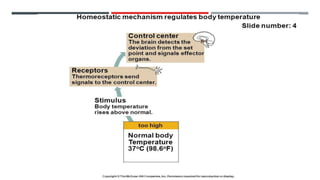 VS- TEMPERATURE (NORMAL,FORMULA, TYPES OF THERMOMETER, THERMORECEPTORS ...