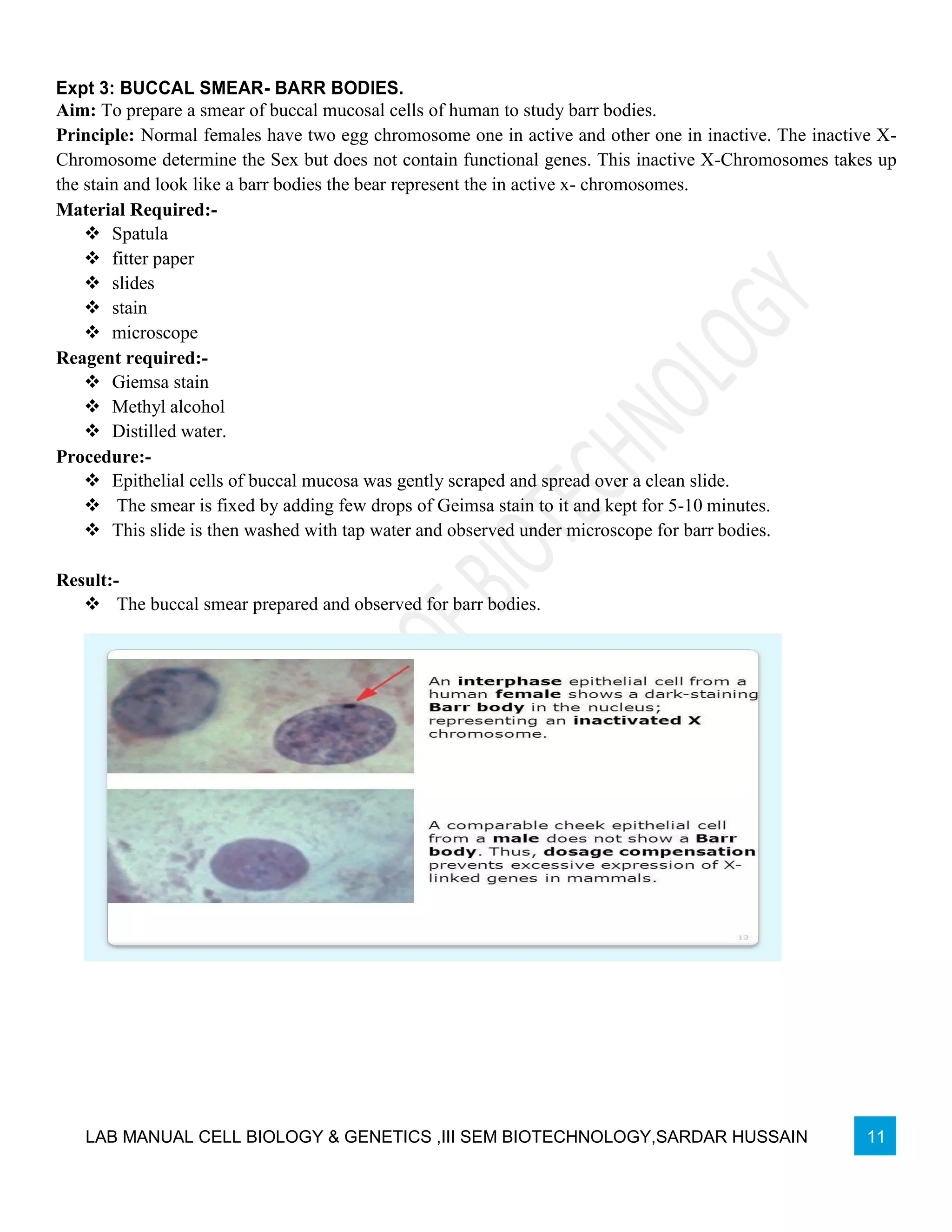 Biotechnology III sem Practical manual | PDF