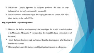 Bacillus thuringiensis.crops & golden rice | PPTX