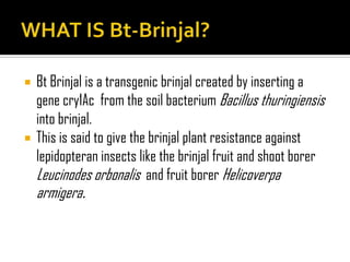 Bt brinjal in the eyes of the law | PPTX