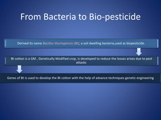 Bt presentation | PPTX