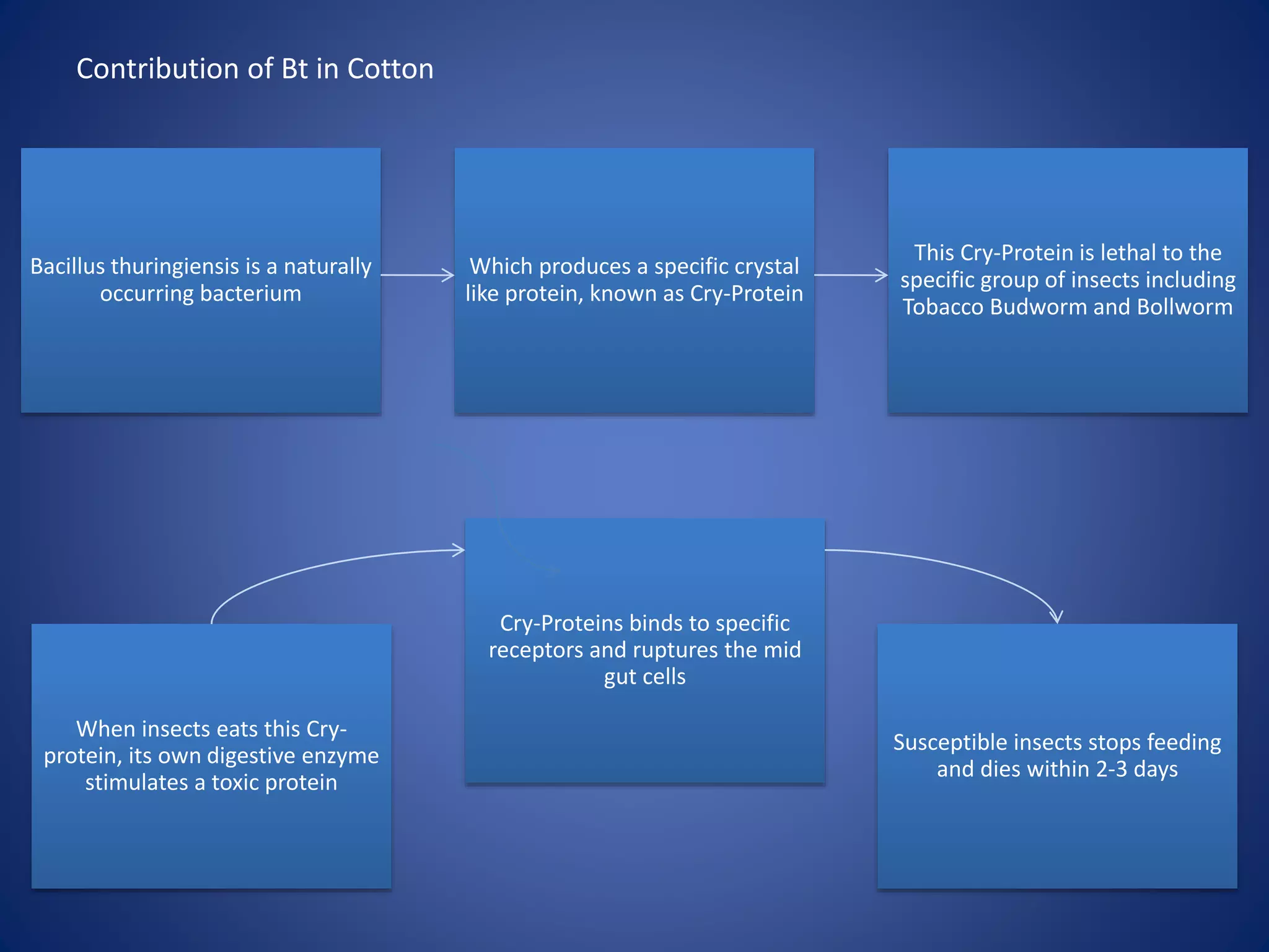 Bt Cotton | PPTX