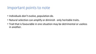 BT1010 Darwin Evolution_Chapter 1 class 3 (2).pptx | Biological ...
