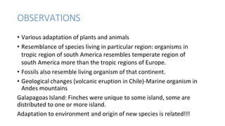 BT1010 Darwin Evolution_Chapter 1 class 3 (2).pptx | Biological ...