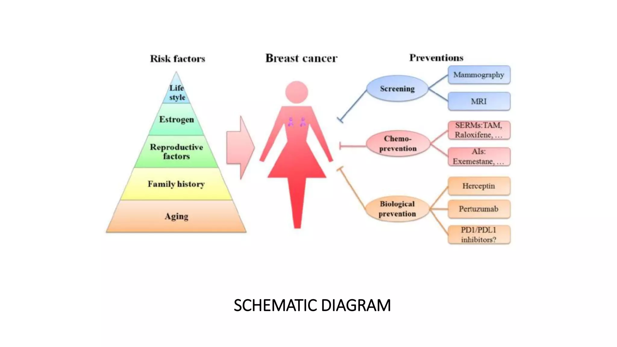 Breast Cancer detection.pptx