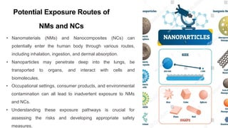 nanotoxicity ............................ | PPTX