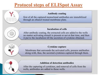 BT602%20assignment.pptx | Medical Tests | Medical Health