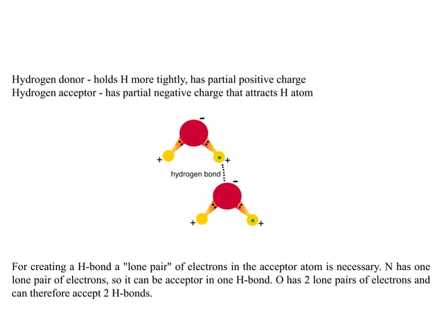 BT631-10-Bonds_stabilizing_protein_structures | PDF | Chemistry | Science