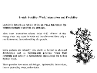 BT631-10-Bonds_stabilizing_protein_structures | PDF