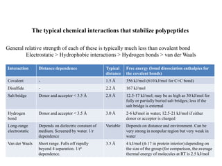 BT631-10-Bonds_stabilizing_protein_structures | PDF