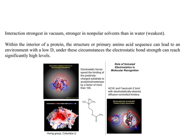 BT631-10-Bonds_stabilizing_protein_structures | PDF | Chemistry | Science