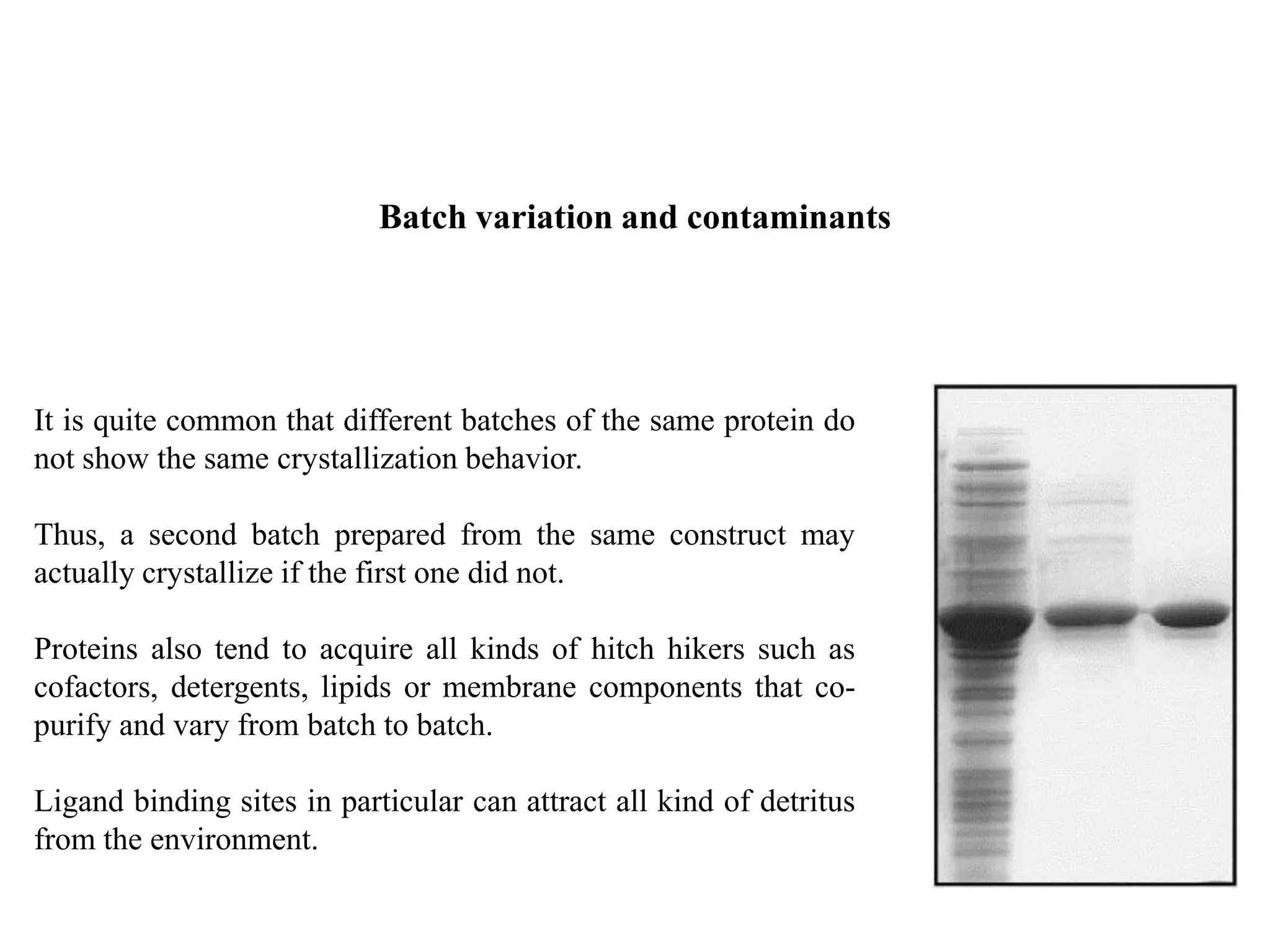 BT631-12-X-ray_crystallography_protein_crystallization | PDF