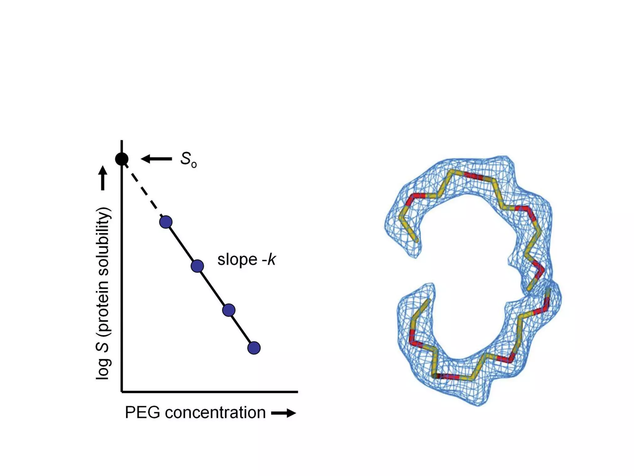 BT631-12-X-ray_crystallography_protein_crystallization | PDF