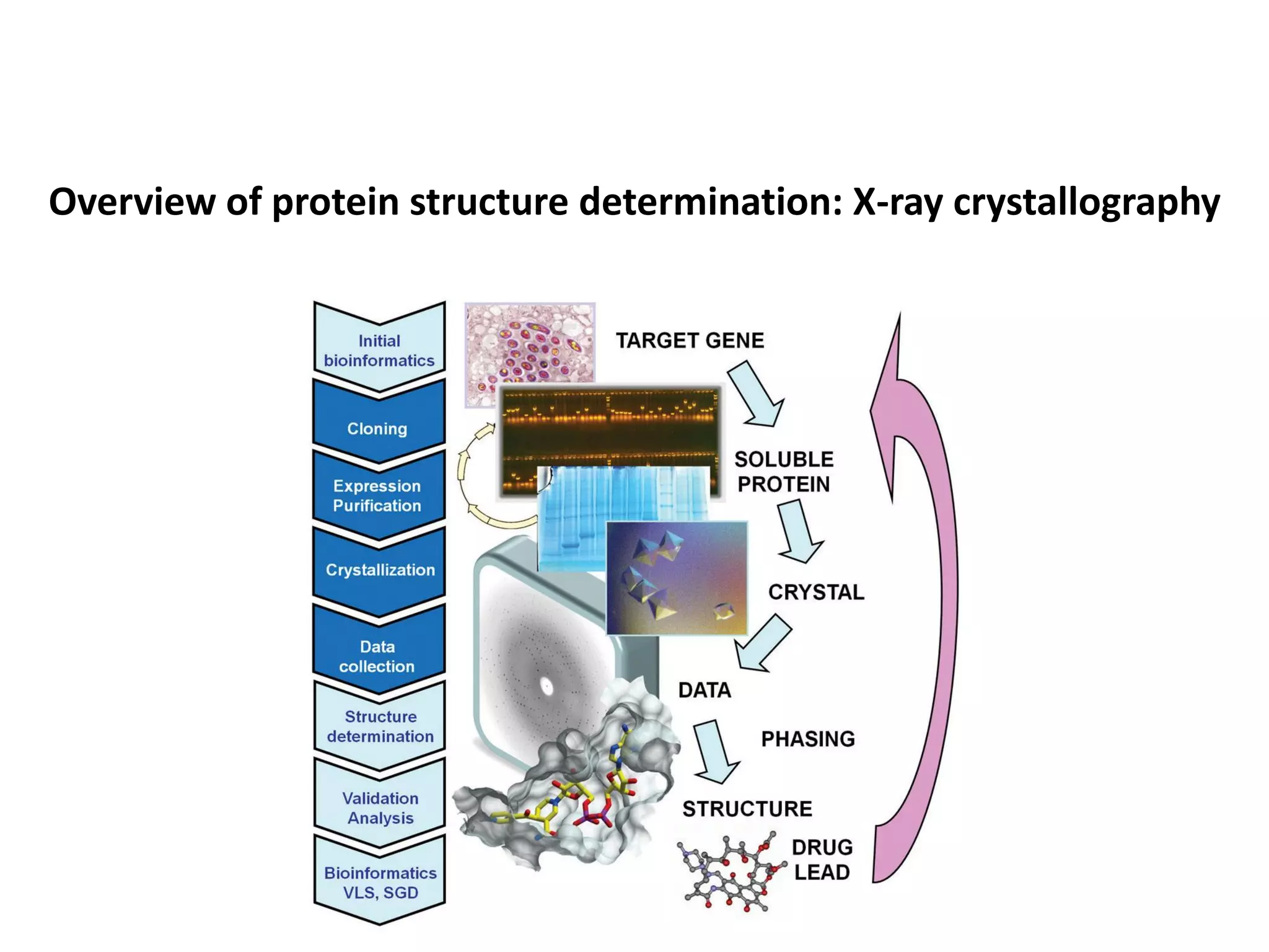 BT631-12-X-ray_crystallography_protein_crystallization | PDF