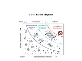 BT631-12-X-ray_crystallography_protein_crystallization | PDF