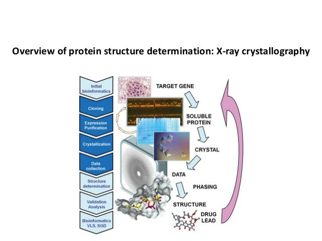 BT631-12-X-ray_crystallography_protein_crystallization