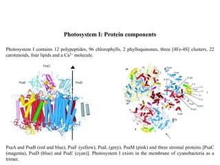 BT631-26-Membrane_proteins | PPT