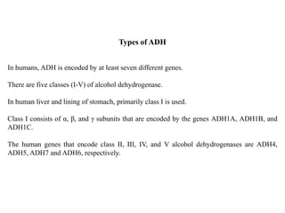 BT631-28-Dehydrogenases | PPT